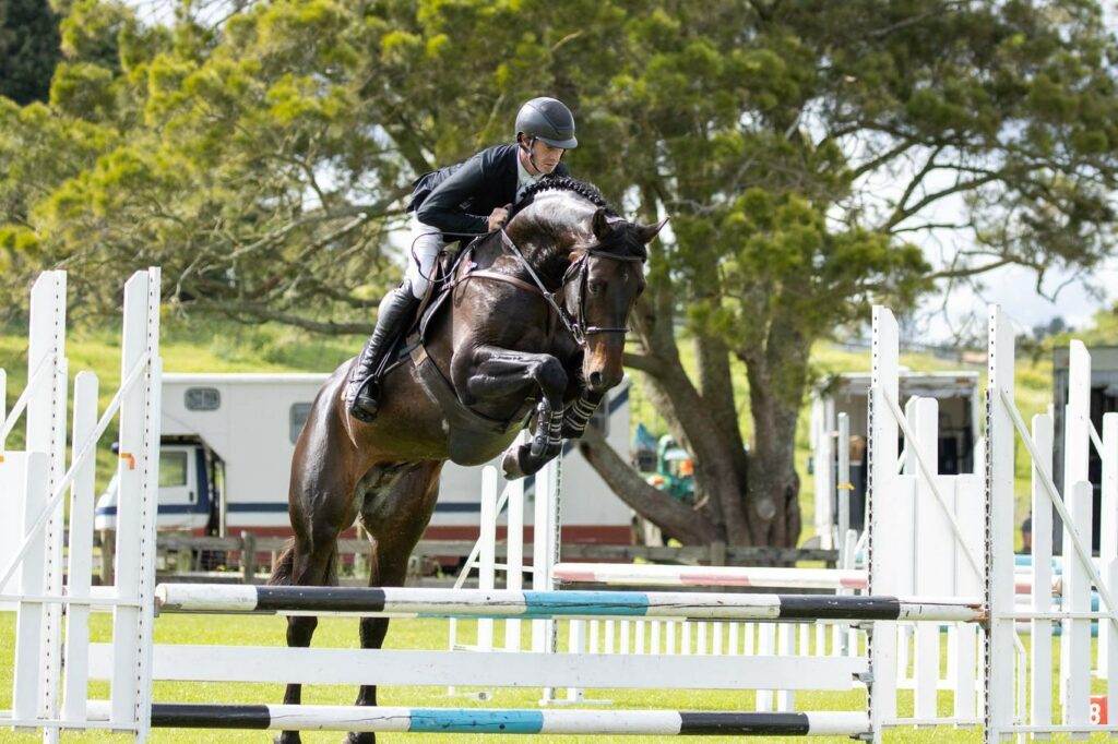 2021 Comme Fu X Corofino II X Corland VDL - Equus Auctions