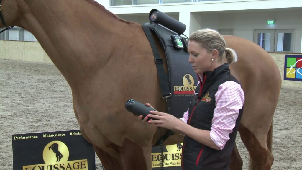 Equissage Edge Hand Unit - Equus Auctions