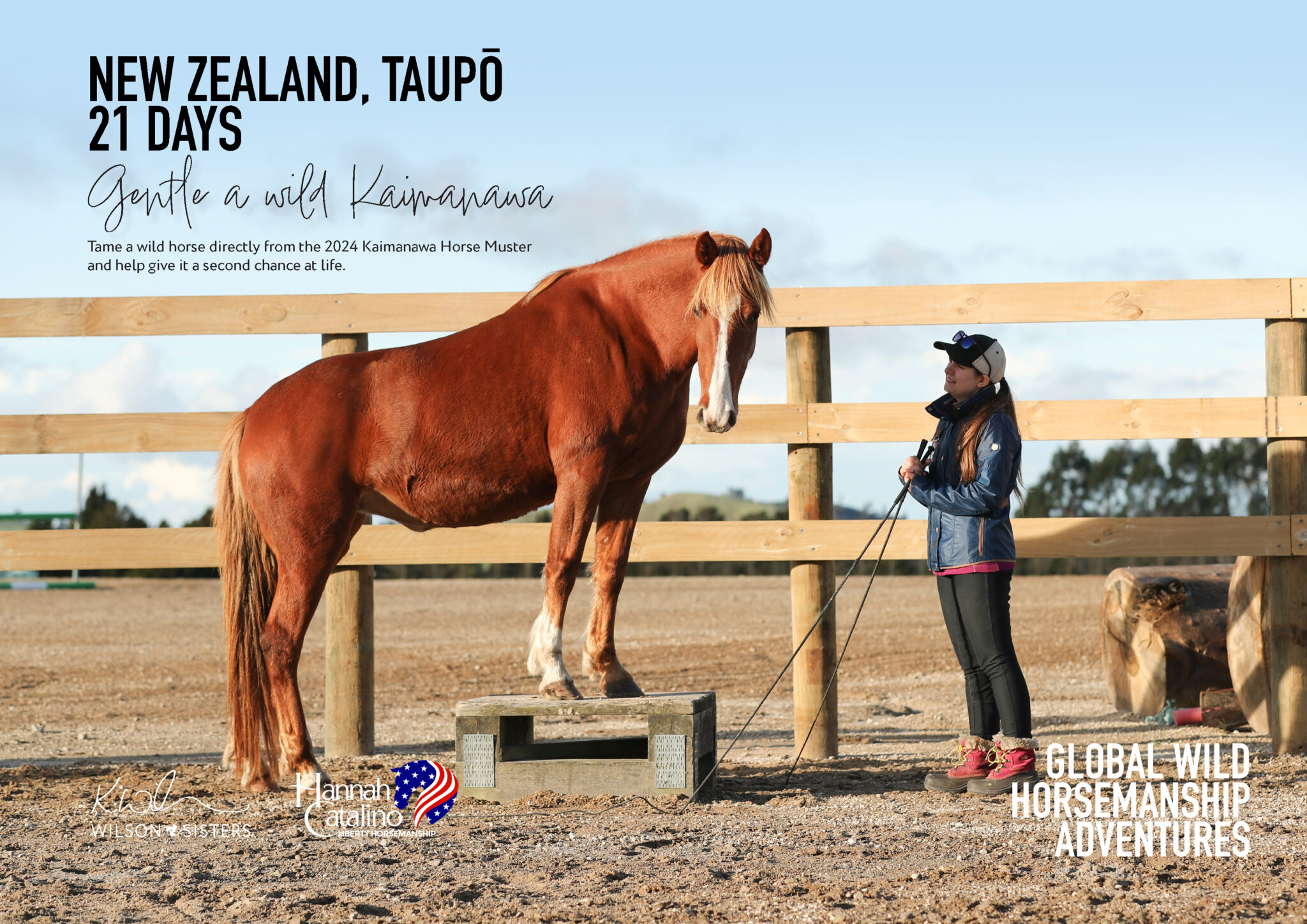 2-Days Auditing on Kelly Wilson & Hannah Catalino (USA) Wild Kaimanawa ...