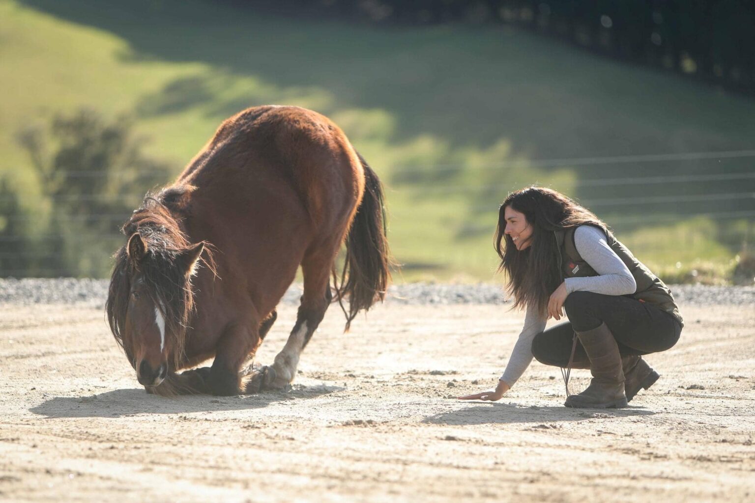 Kaimanawa Party with Kelly Wilson and her Horses - Equus Auctions