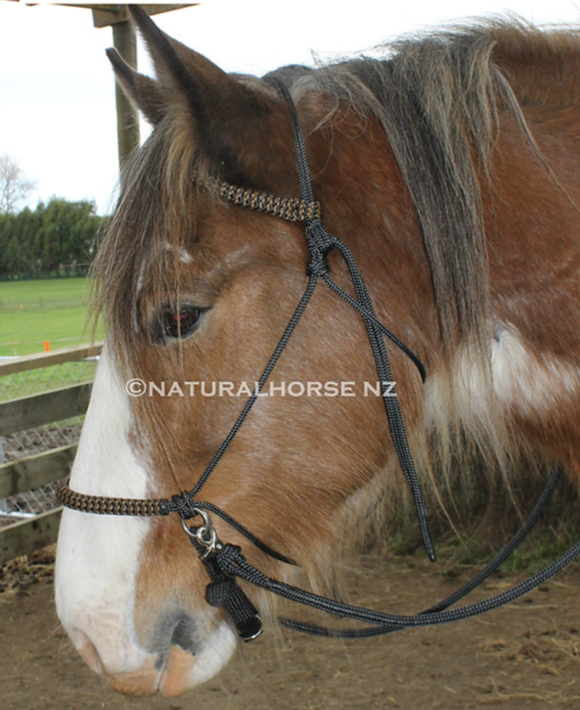 Natural Rider Bitless Bridle - Equus Auctions
