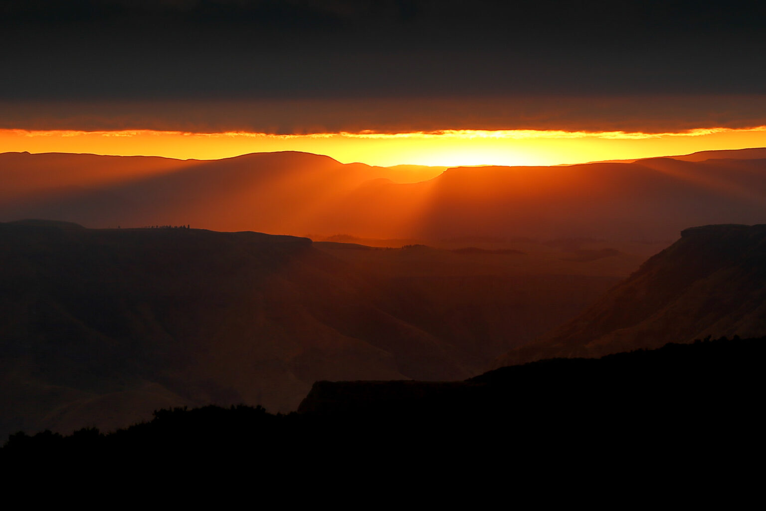 5-Day 4WD Kaimanawa Ranges & Ecology Adventure into the Kaimanawa ...