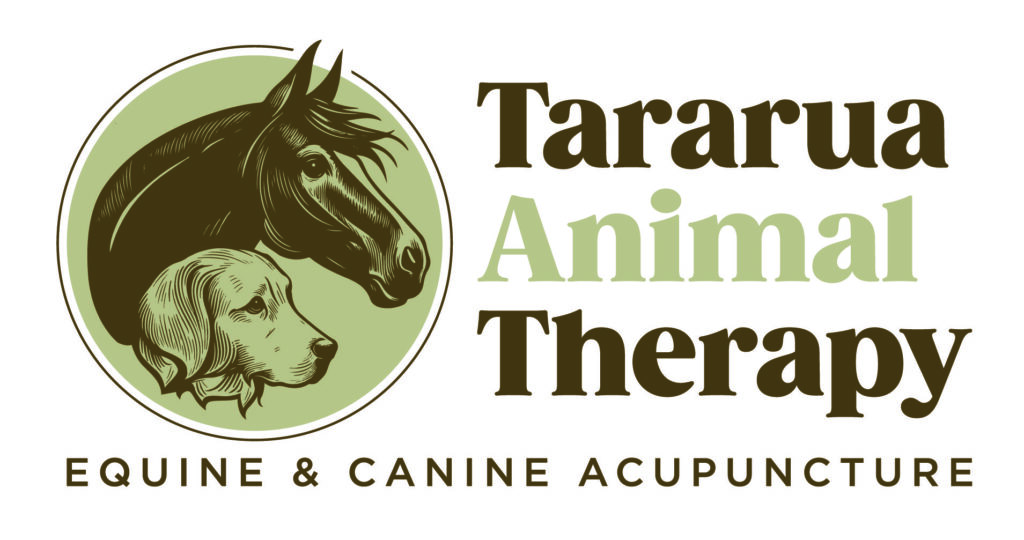 x3 Acupuncture Sessions with Tararua Animal Therapy - Equus Auctions